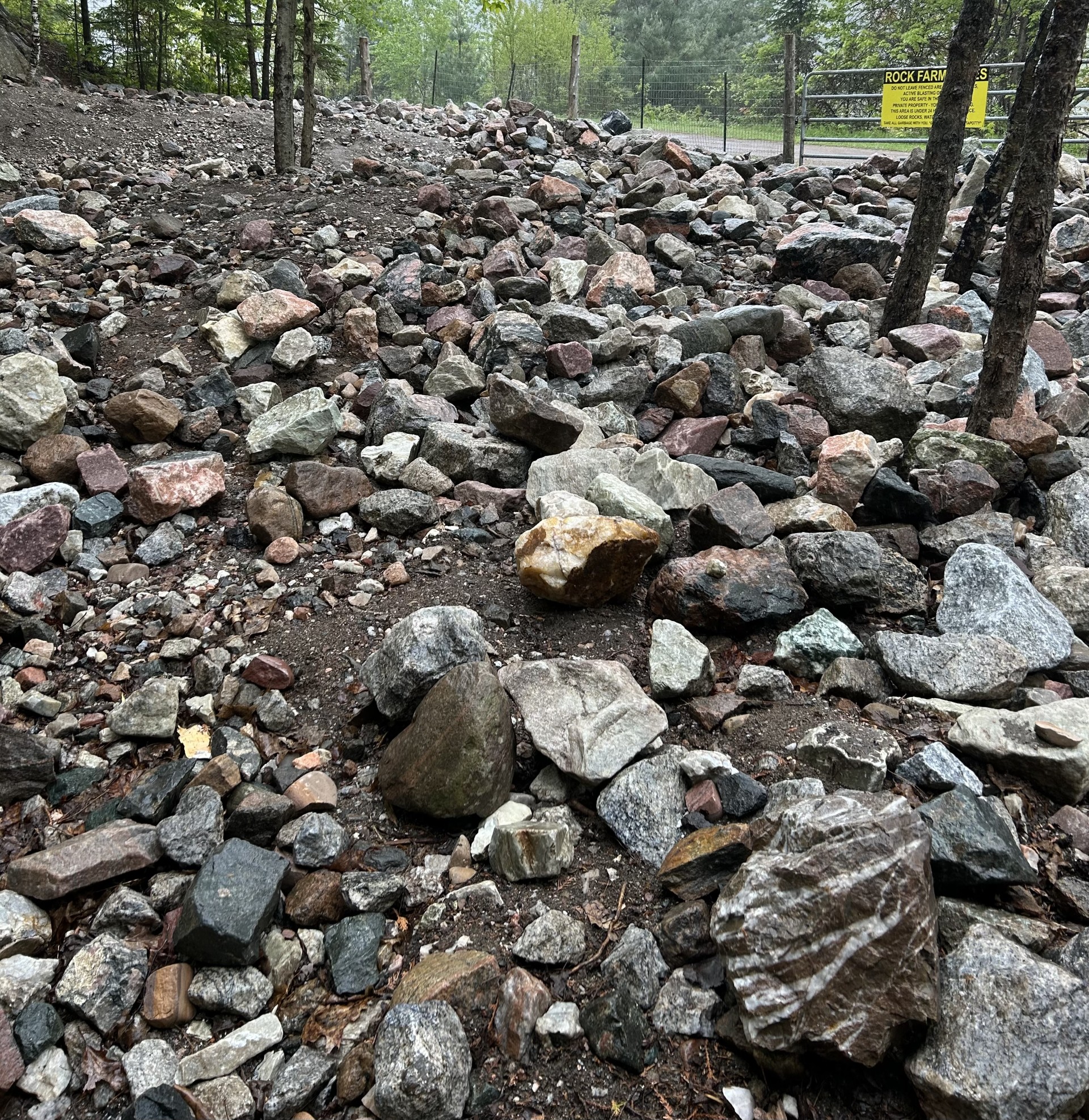 Gems, Geology and Good Times: Make the Most of your Gemboree Visit ...